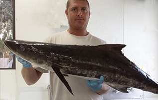 Fresh Local Florida Fish Market, Seafood, Stone Crab, Blue Crab ...