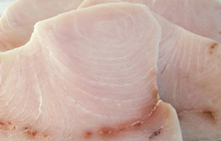 Fresh Local Florida Fish Market, Seafood, Stone Crab, Blue Crab ...